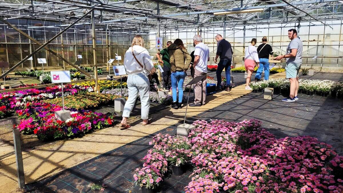 Plantendagen Berkenbeek: meer dan tienduizend planten en bloemen gekweekt door leerlingen ...